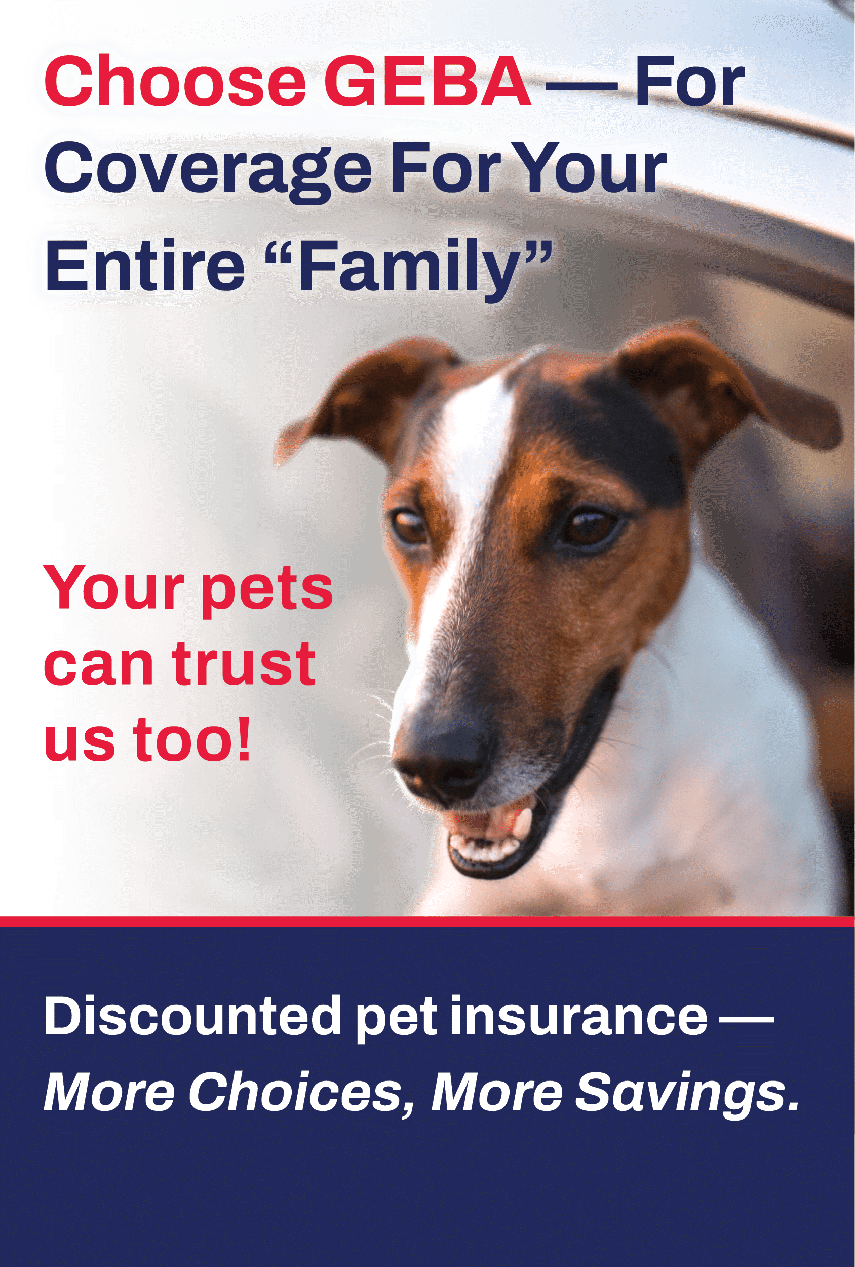 GEBA - Government Employees' Benefit Association